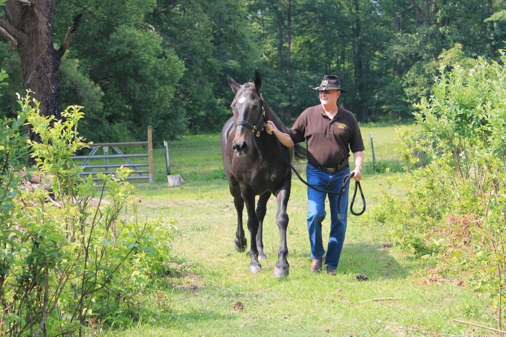Caparisoned (Riderless) Horses – Compassion Ranch