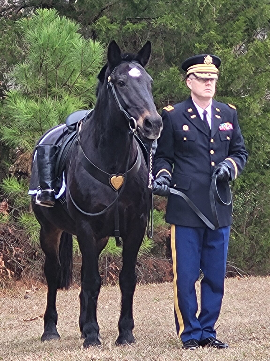 Caparisoned (Riderless) Horses – Compassion Ranch