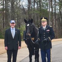 Caparisoned (Riderless) Horses – Compassion Ranch